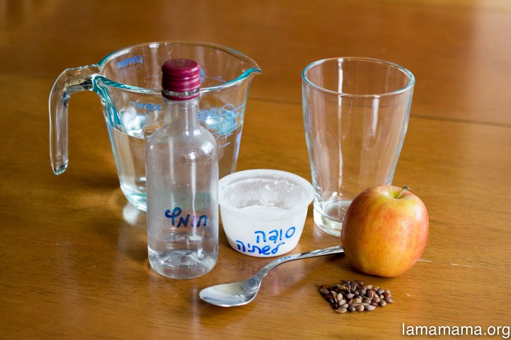 מסיבת ריקודים בכוס